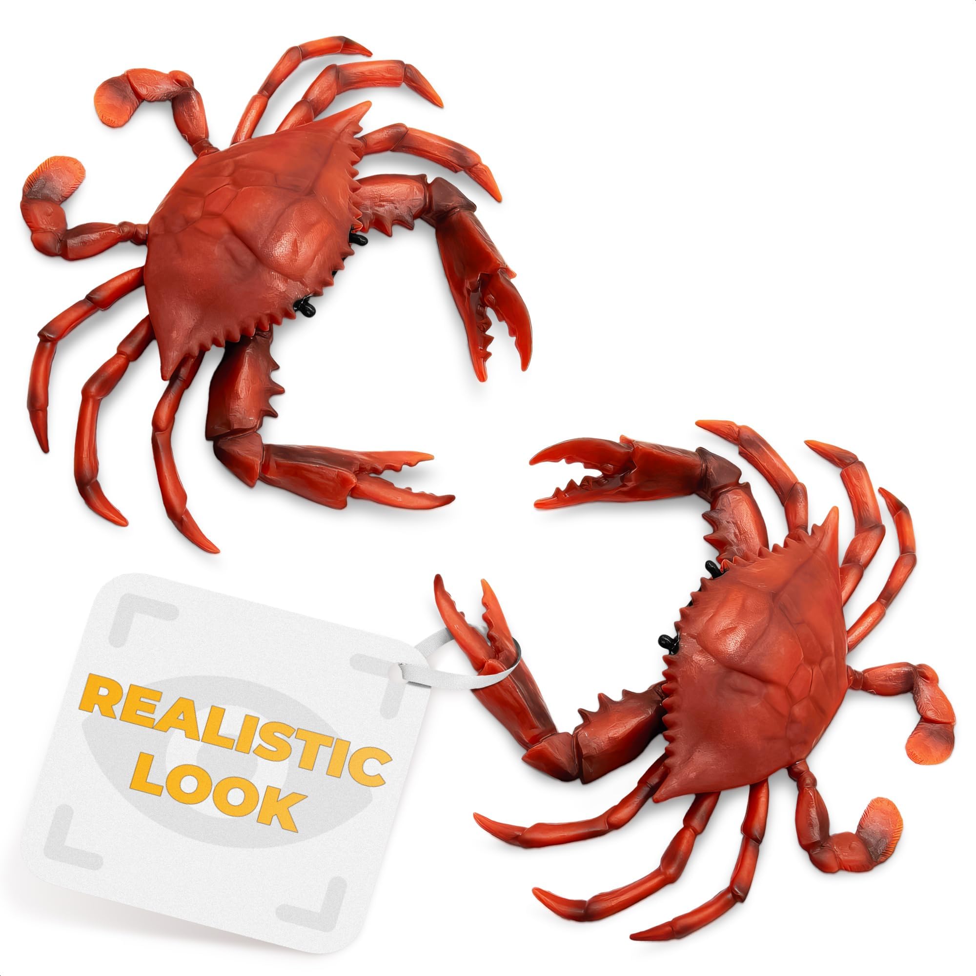 Amazon.com: RAYNAG 1 Piece Artificial Plastic Crab, Simulated Sea ...