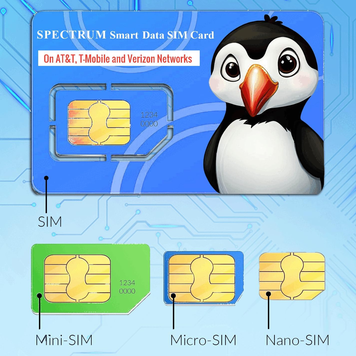 Amazon.com: Spectrum Smart Data Only SIM Card: for Security Cameras ...