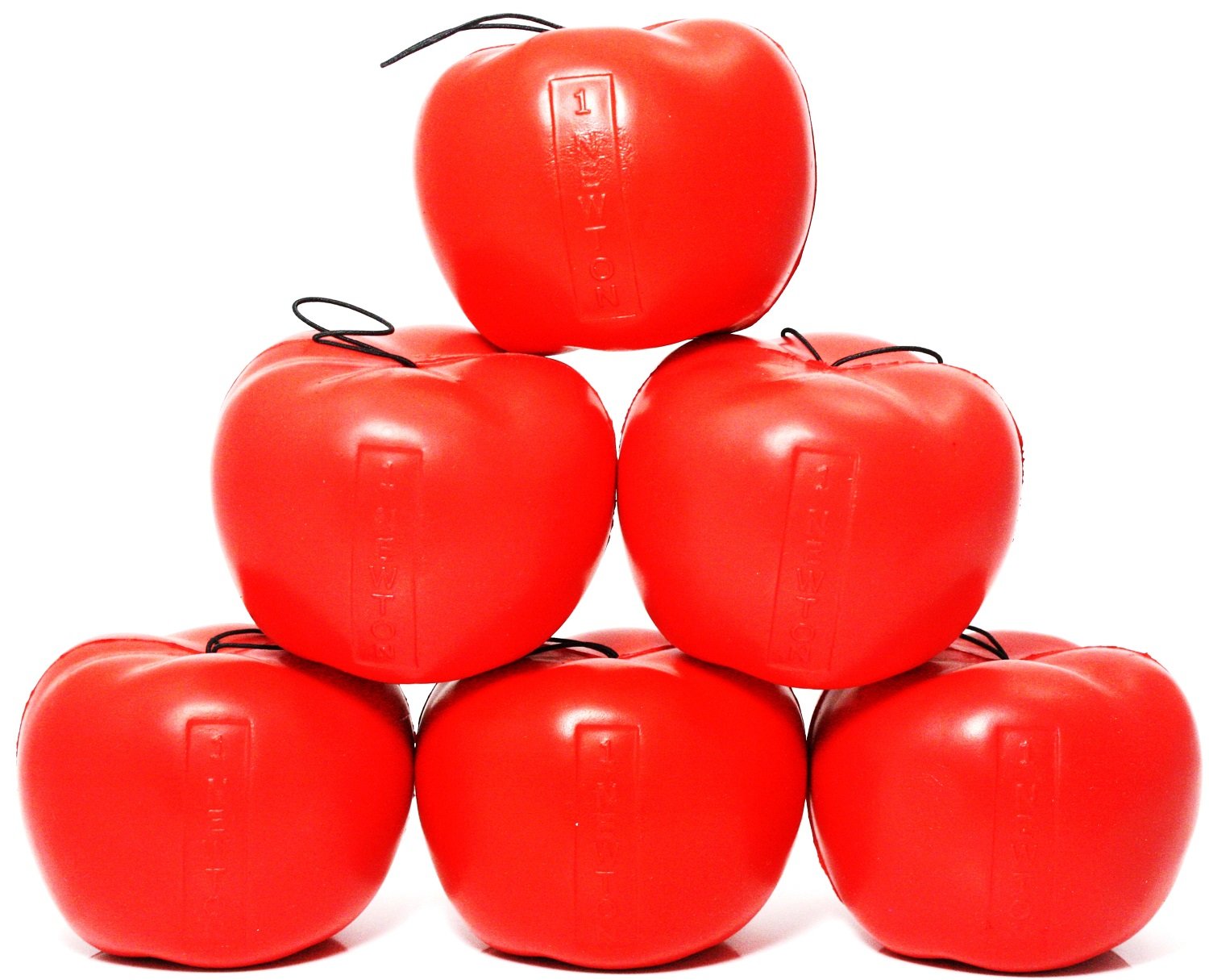 Pack of 6 Foam Newton's Apples - 1 Newton Per Apple: Amazon.com ...