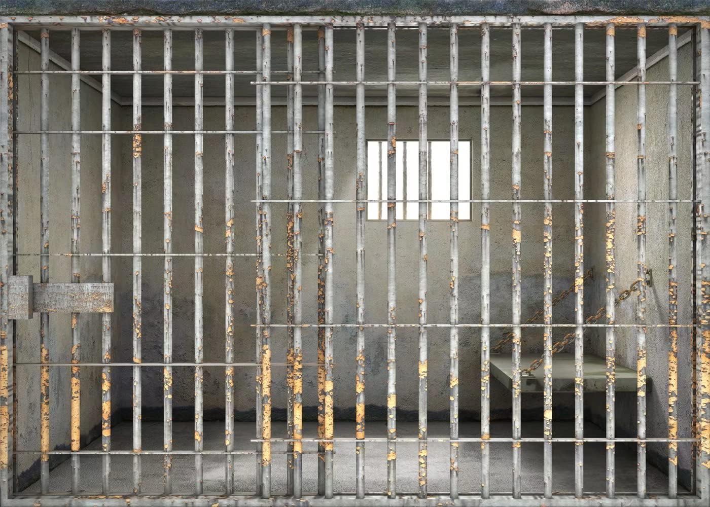 Amazon.com : BELECO 7x5ft Fabric Prison Bars Backdrop Jail Backdrop ...
