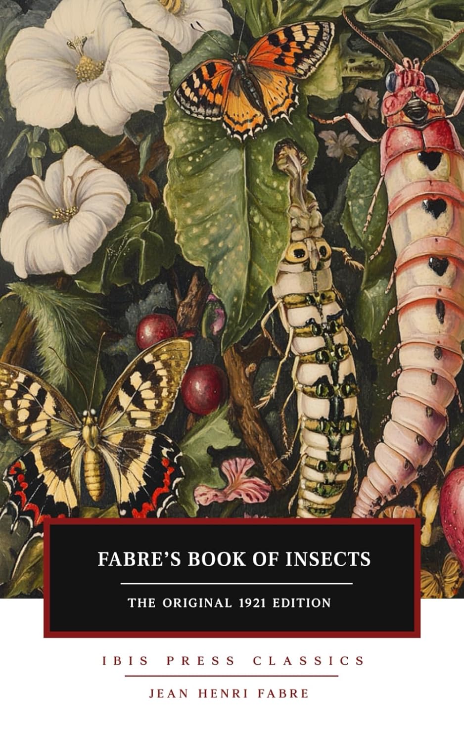 Fabre's Book of Insects (Ibis Press Classics): Illustrated Edition ...