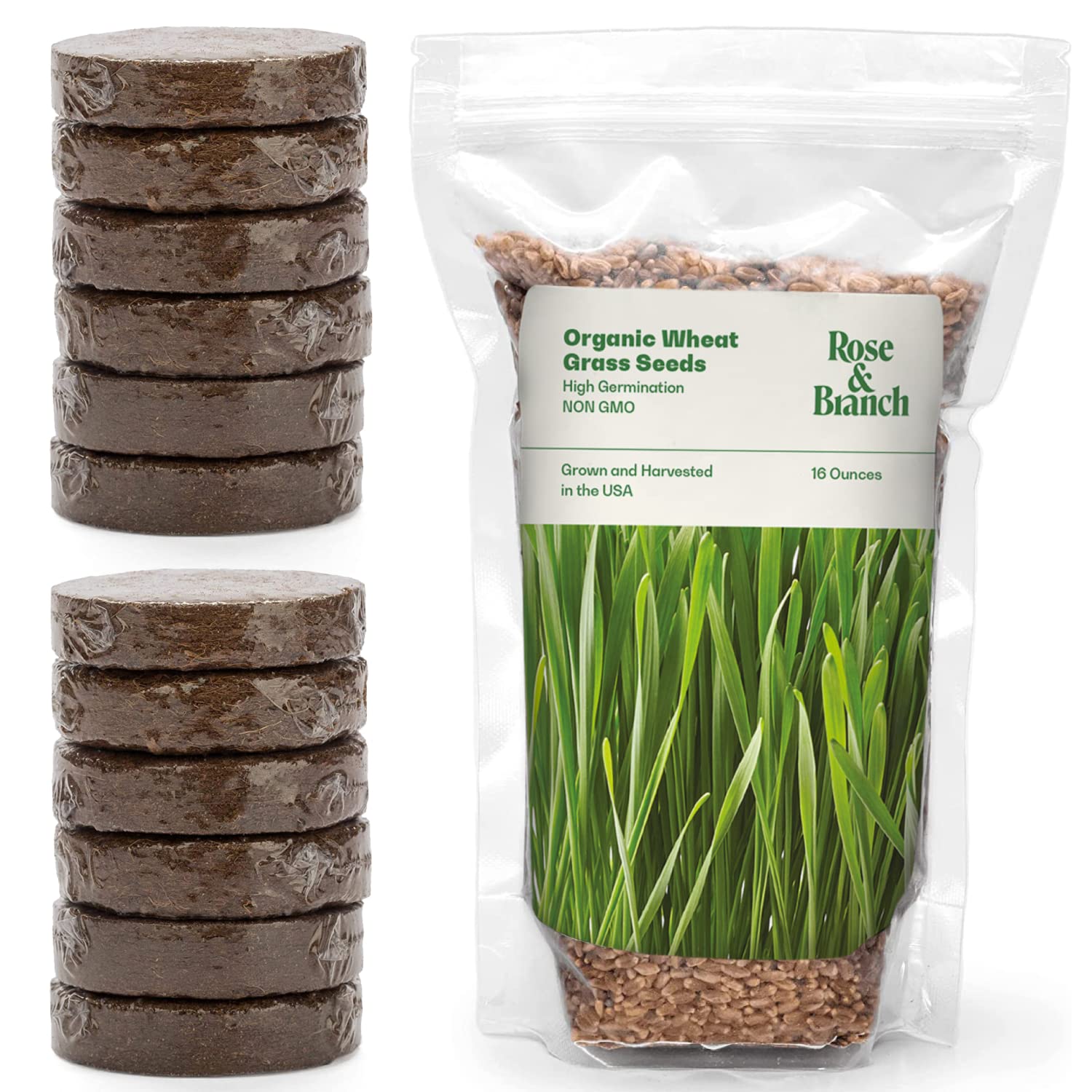 Amazon.com : R&B 16 Oz Seed with 12 Pack Coco Coir Soil Disks : Patio ...