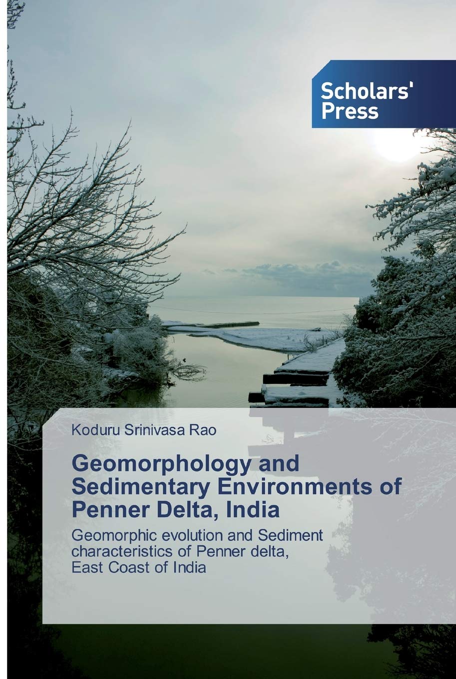 Buy Geomorphology and Sedimentary Environments of Penner Delta, India ...
