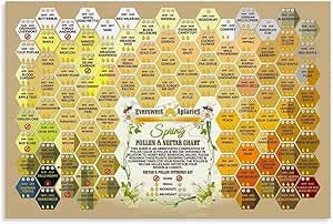 Amazon.com: Pollen Chart Knowledge Poster Pollinator Poster Pollen ...