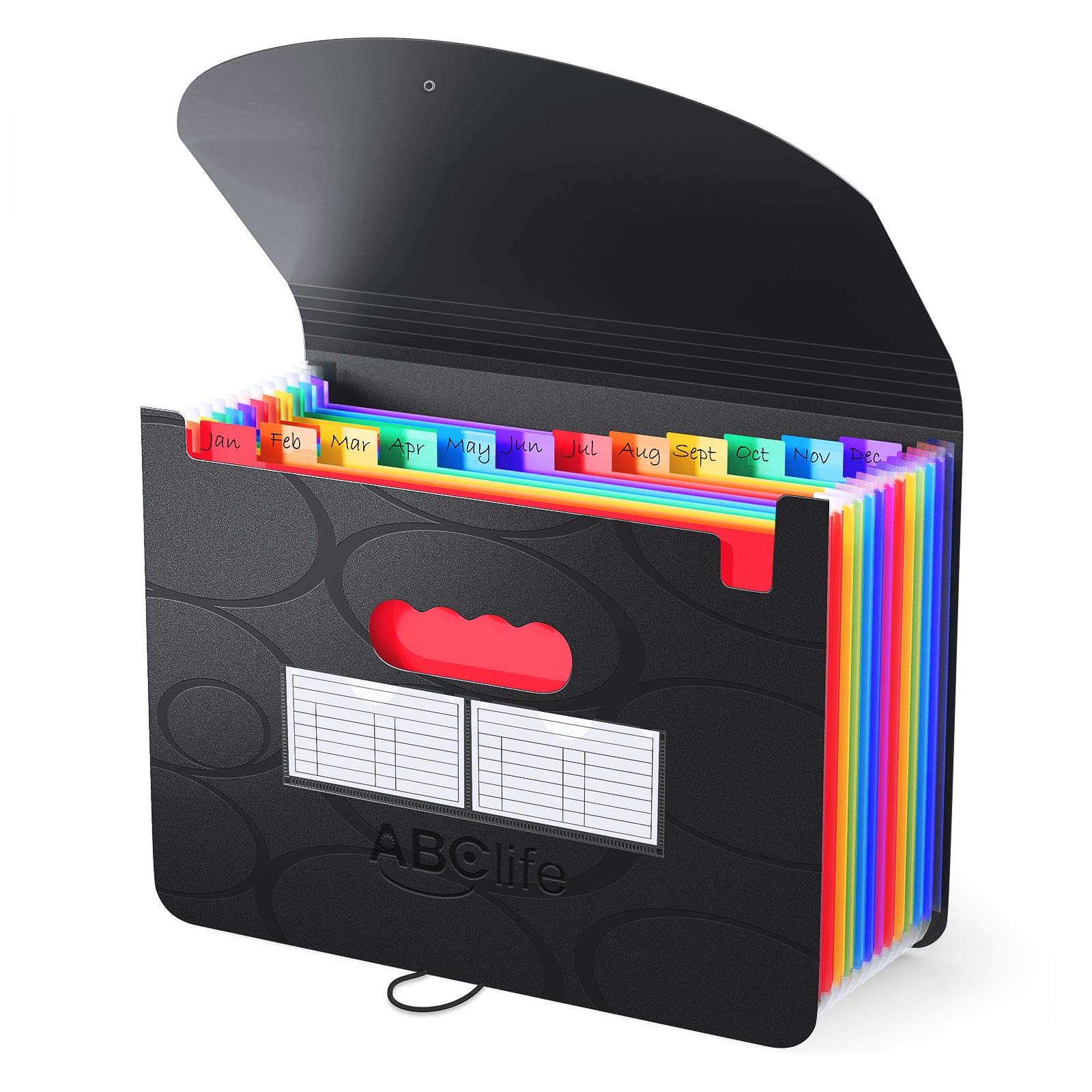 Buy ABC life Document Folder A4, 12 Compartment File Organizer, Large ...