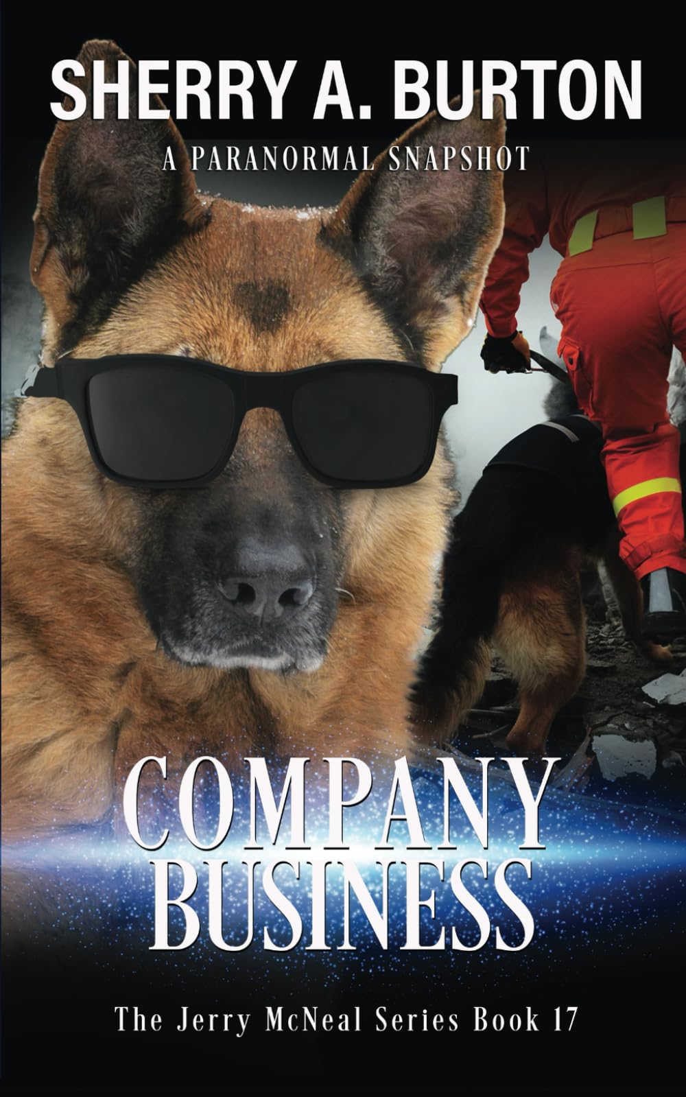 Amazon.com: Company Business: Book 17 in The Jerry McNeal Series ...