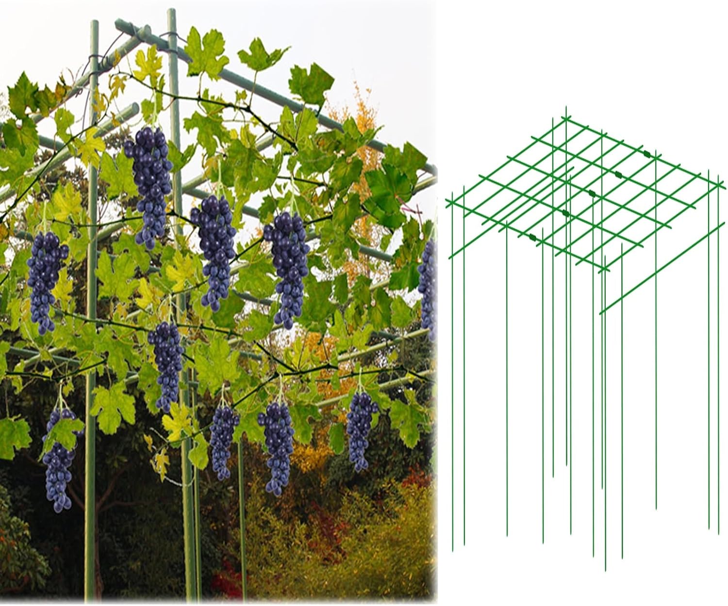 Amazon.com : Large Grape Trellis Metal Stakes, Grape Vine Support Poles ...