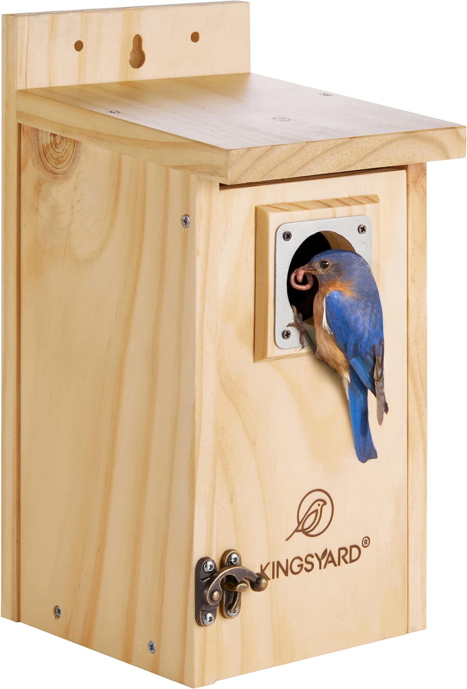 Amazon.com: SUQEFAN 11" H Hanging Wood Blue Bird House for Outside ...