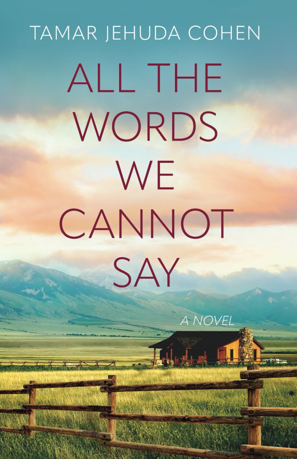 Amazon.com: All the Words We Cannot Say: A Novel: 9798337742762: Jehuda ...