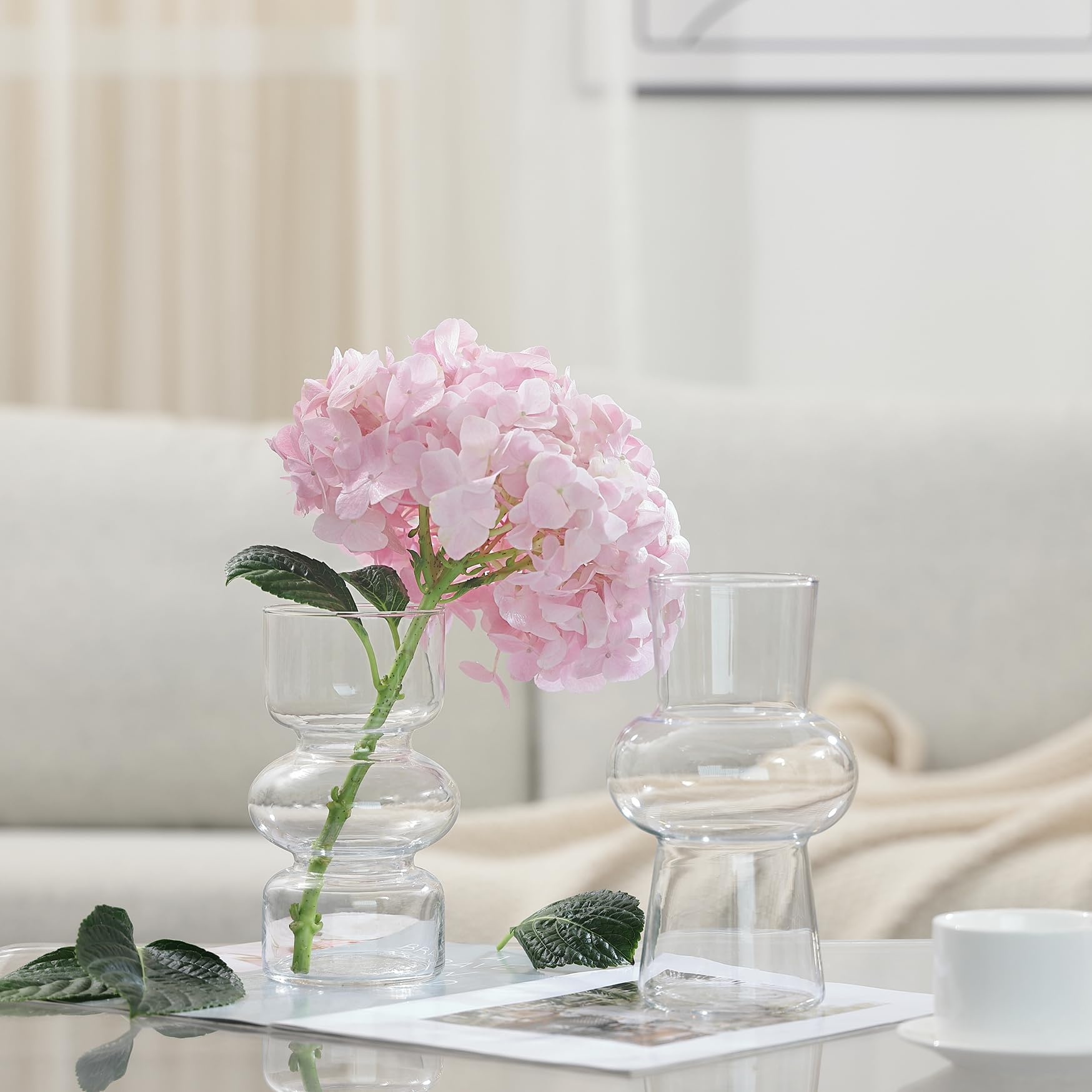 Amazon.com: ViViTOP Glass Vase Set of 2, 7 Inch Transparent Vases for ...