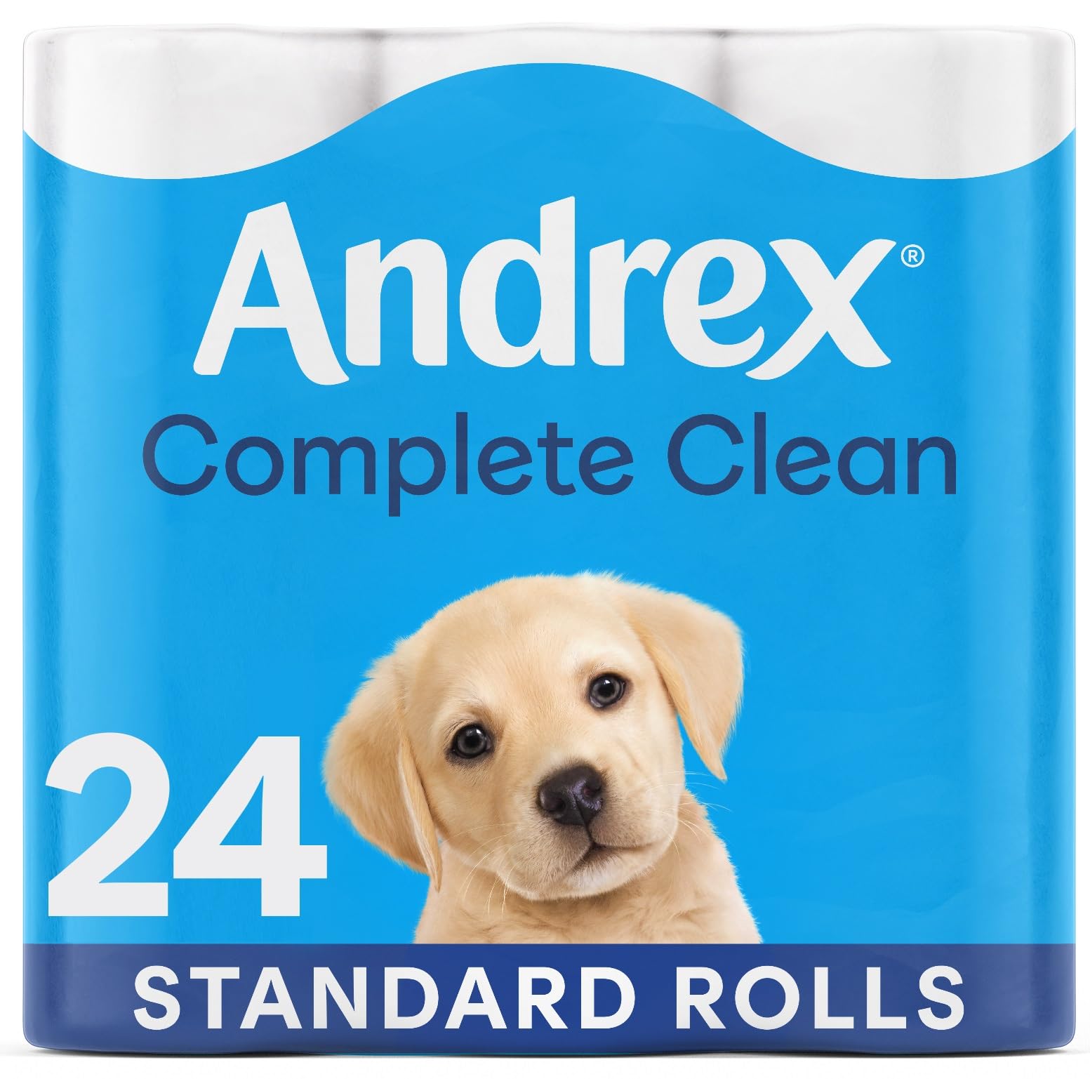Andrex Complete Clean Toilet Tissue 24 Rolls (Previously Andrex Classic ...
