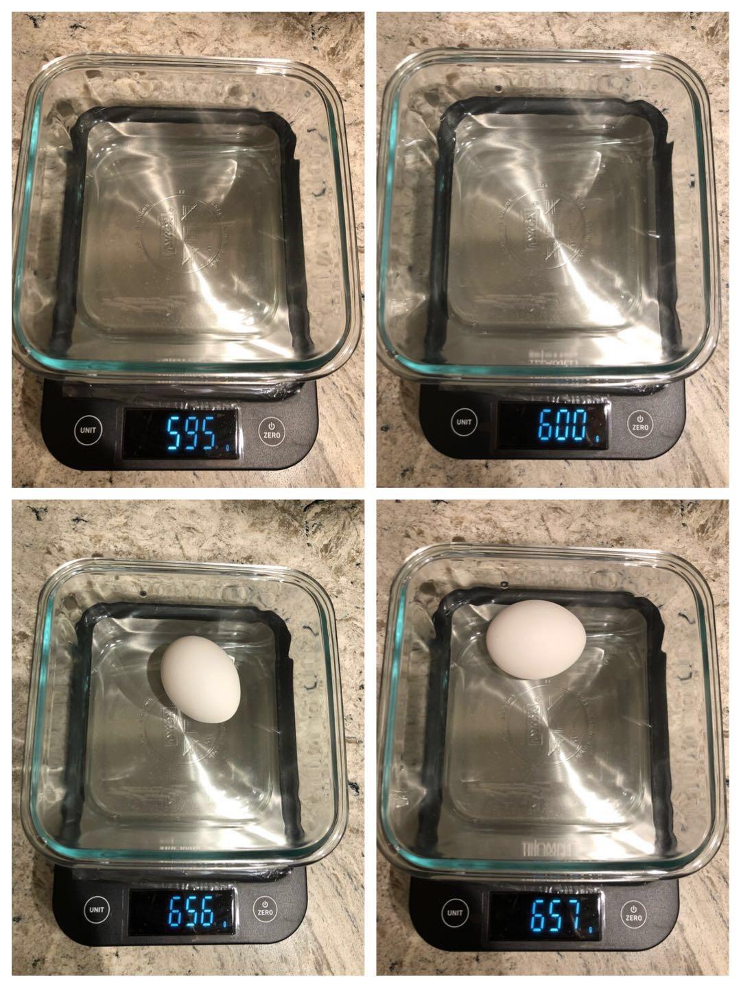 Amazon.com: Triomph Upgraded Digital Kitchen Scale Multifunction Food ...