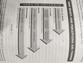 Evolve Your Brain: The Science of Changing Your Mind : Dispenza DC, Joe ...