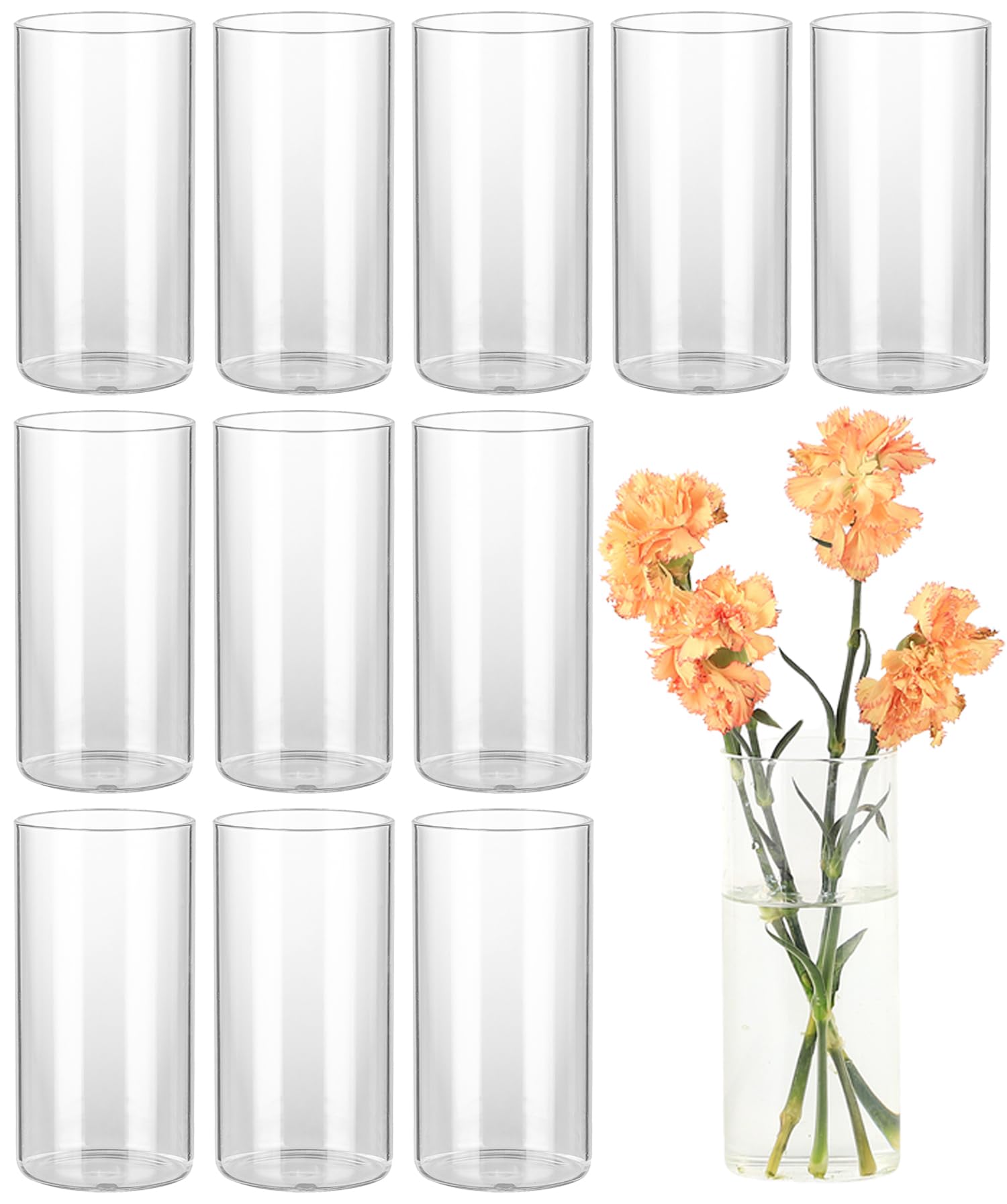 Snapklik.com : Glass Cylinder Vases, 6 Inches Glass Vases For ...