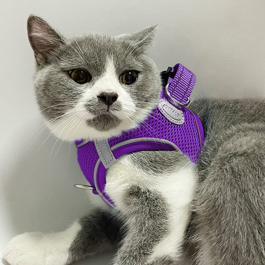 Snapklik.com : Step In Dog Harness,12 Colors,Breathable Mesh Vest ...