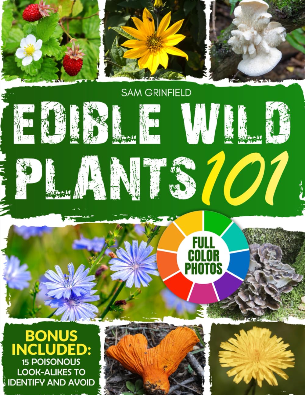 Edible Wild Plants 101: A North American Guide to Easily Identify the ...