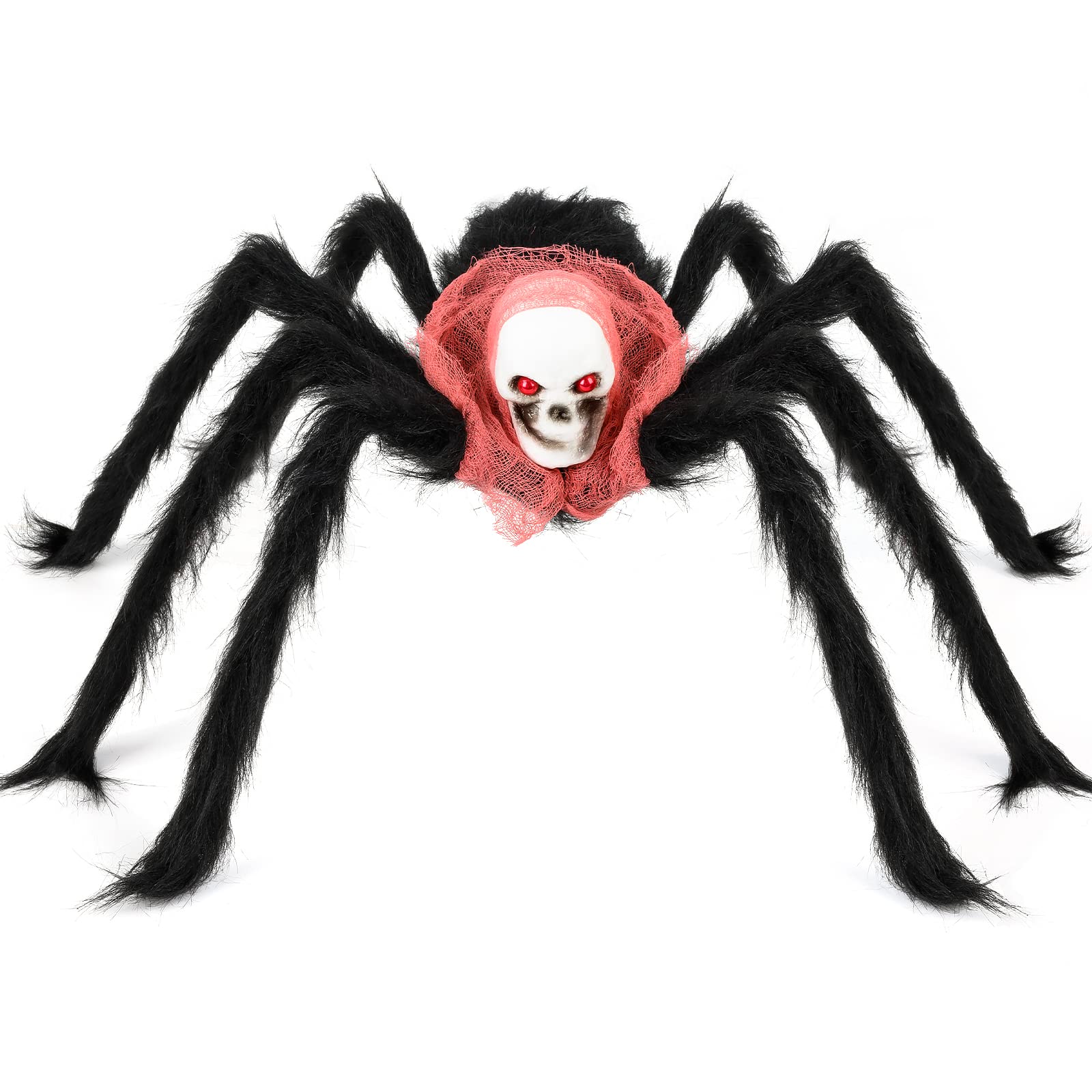 Gallery Of Giant Spiders