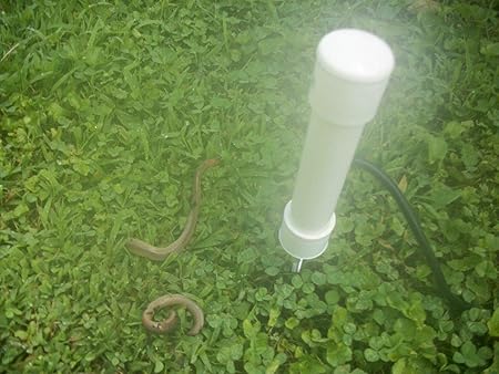 Amazon.com : Worm shocker's Don't Buy nightcrawlers Anymore Catch Them ...