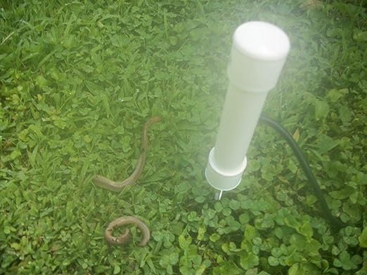 Amazon.com : Worm shocker's Don't Buy nightcrawlers Anymore Catch Them ...