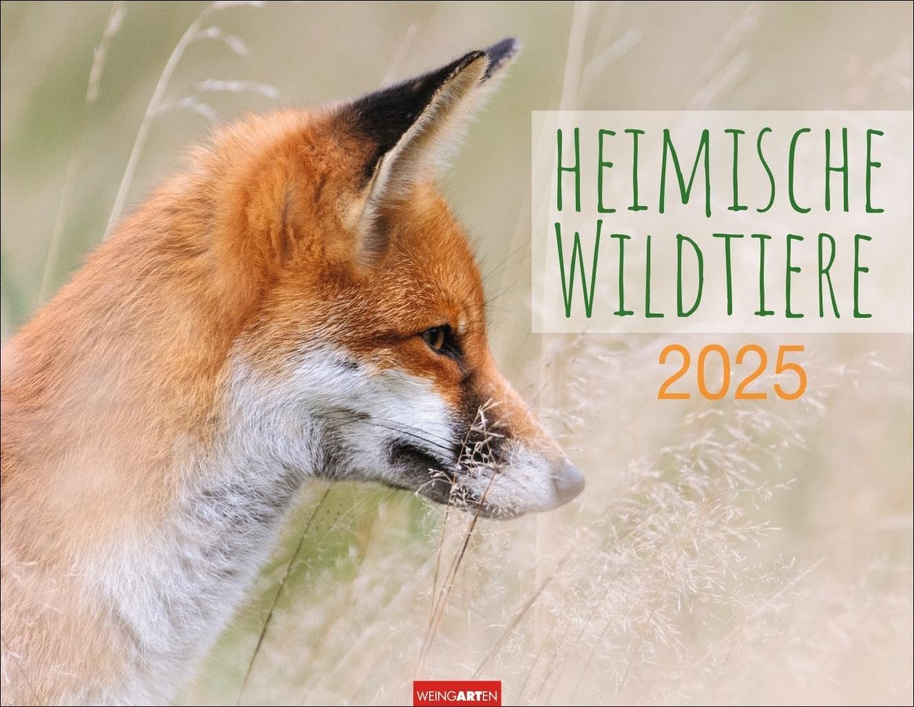 Amazon.com: Native Wildlife Calendar 2025: From Hedgehog to Wildshine ...