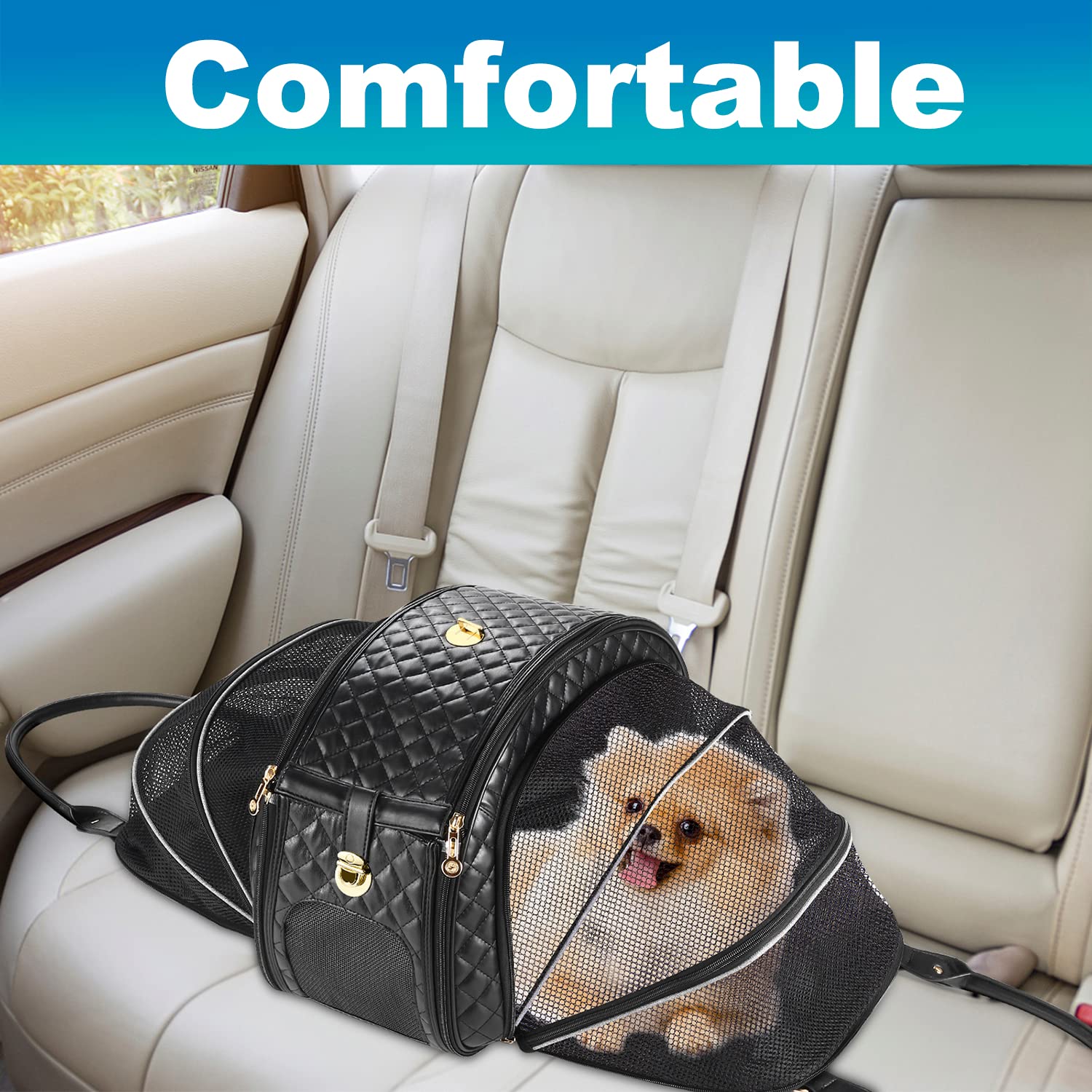 Cat Backpack Carrier Dog Purse Carrier For Small Dogs, 2-Side ...