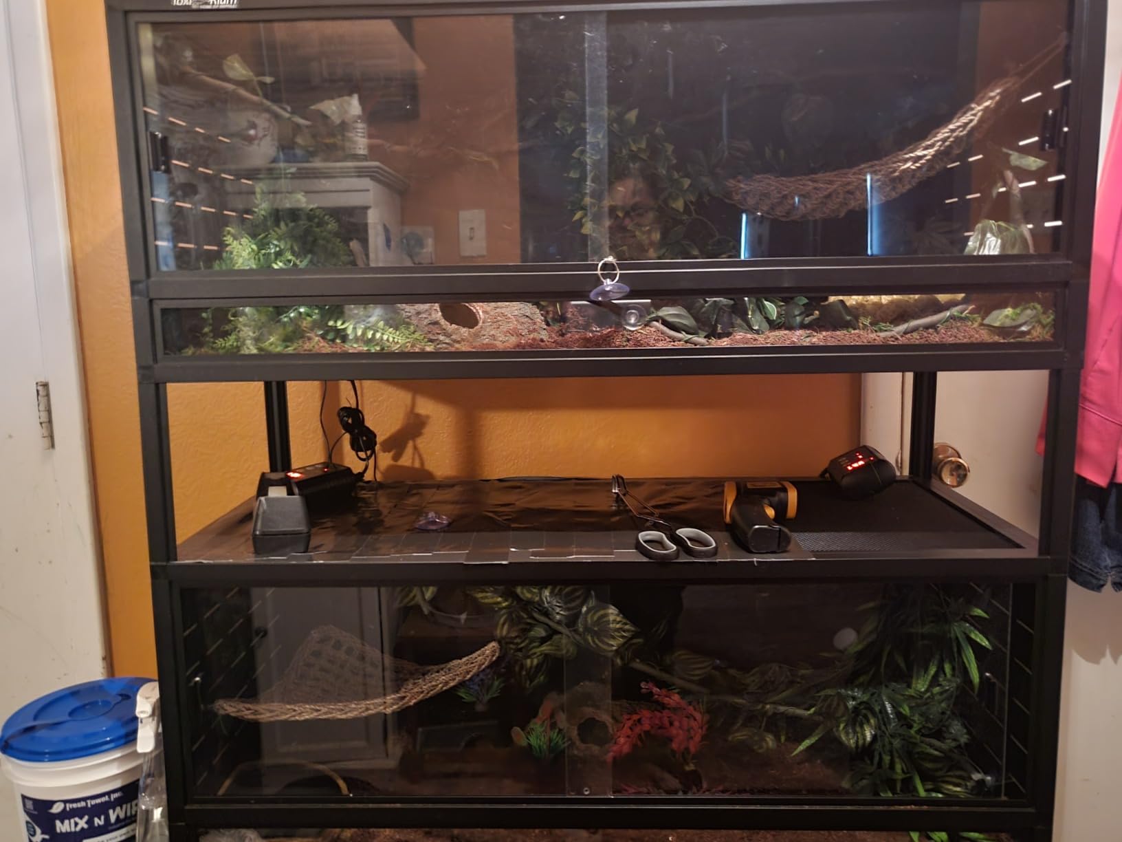 $38/mo - Finance Reptile Enclosure Bearded Dragon Tank 44 Gallon ...