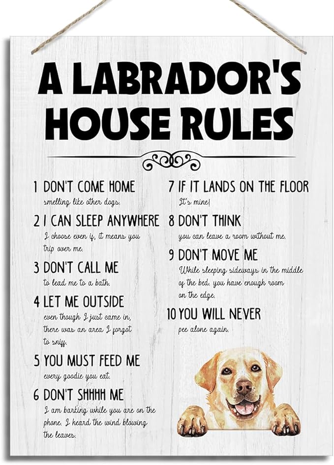 Amazon.com: ZPPRJF Labrador's House Rules Dog Wooden Sign, Labrador ...