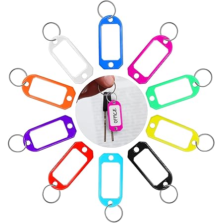 25 Pack Key Tags with Labels, 10 Colors Plastic Key Fobs with Split ...