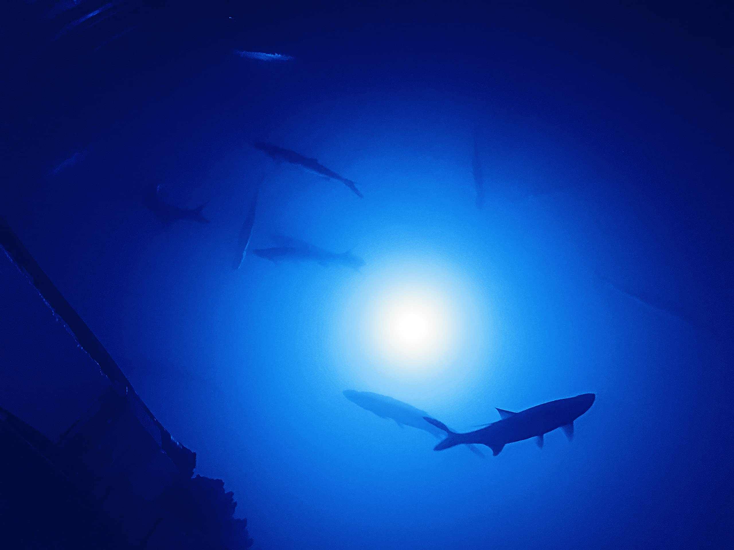 Underwater Dock Lights Blue Liquid Lumens | High Performance