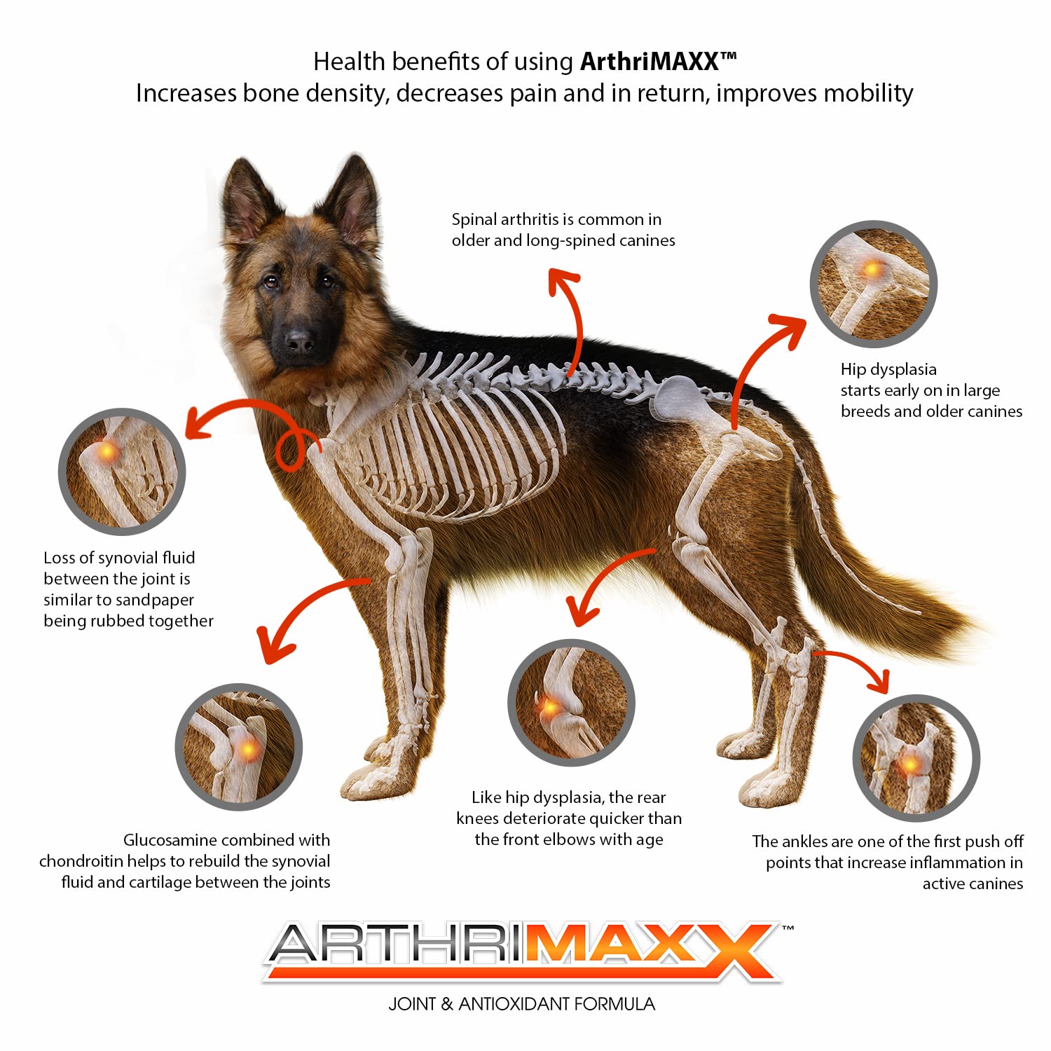 Does Meloxicam For Dogs Need To Be Refrigerated