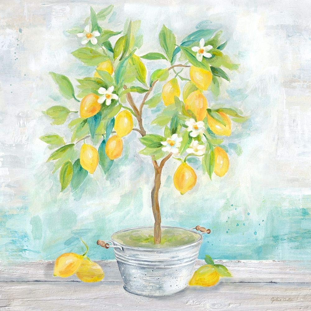 Lemon Tree Art Gallery