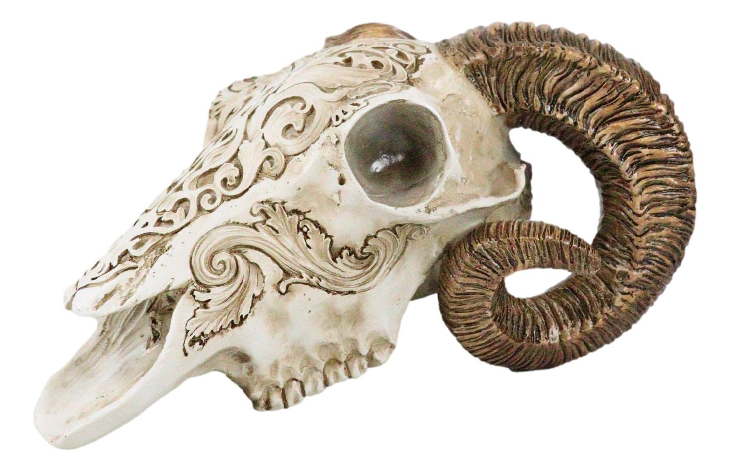 Ram Skull Side View