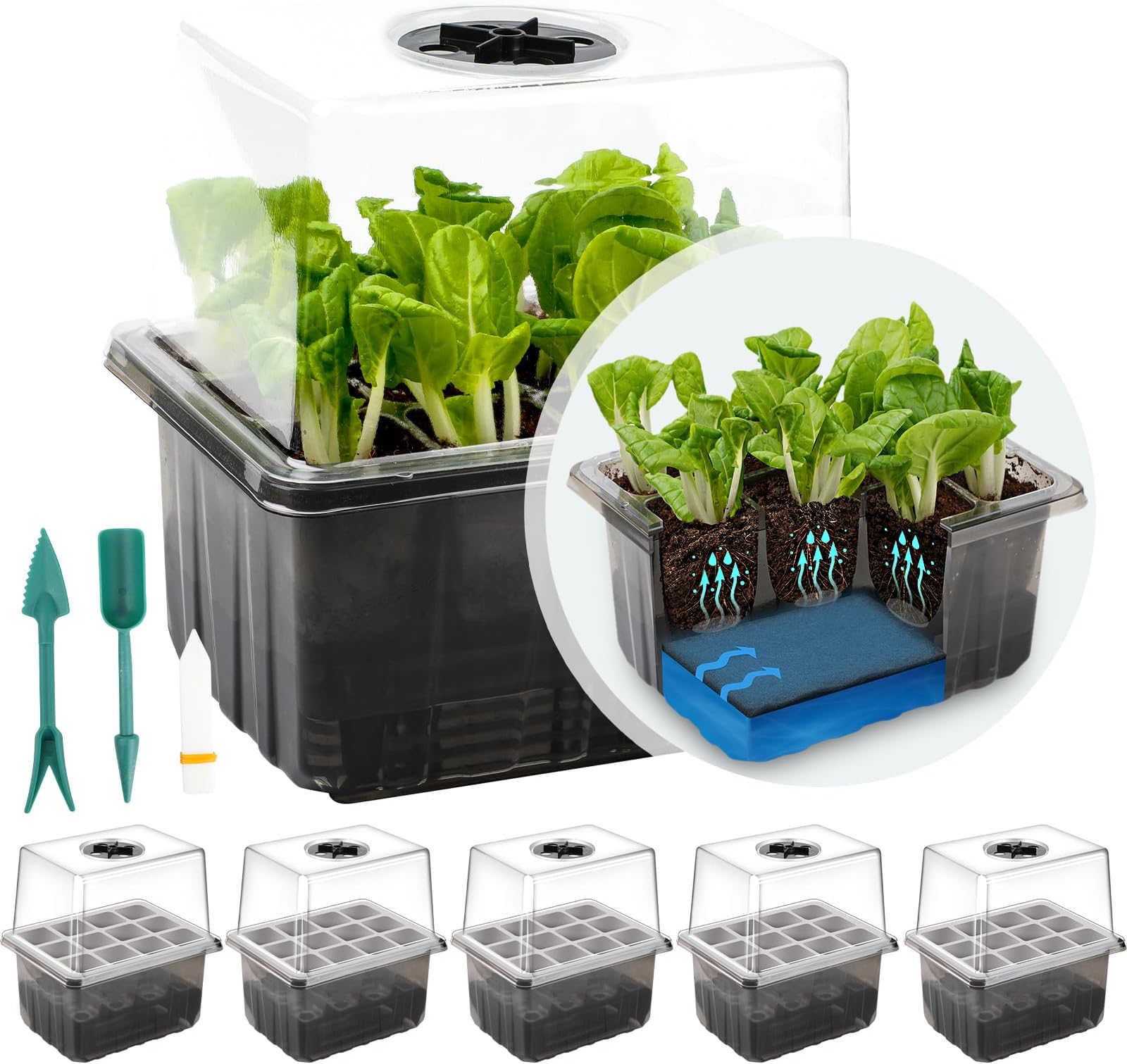 Amazon.com : ZHOLAH Seed Starter Trays Self-Watering - Kit with ...