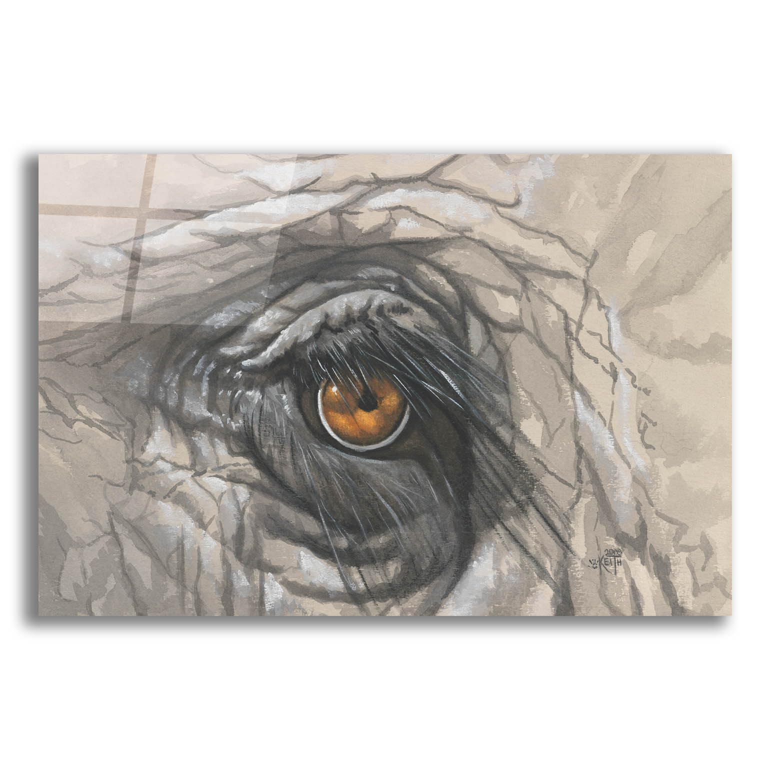 Eye Catching Illustrations Colorful Eye Catching Background Extra