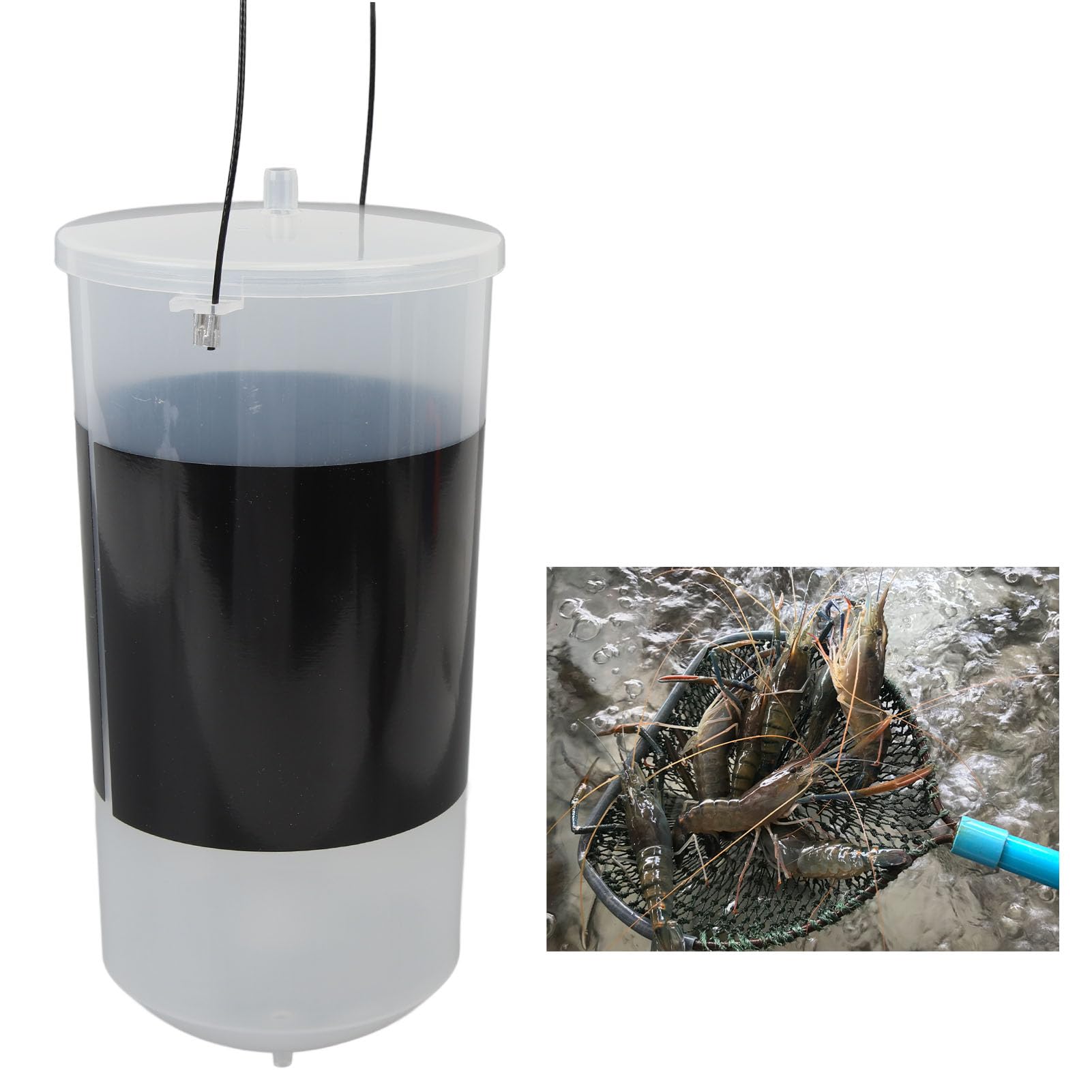 Snapklik.com : Shrimp Eggs Incubator, Shrimp Hatchery Kit