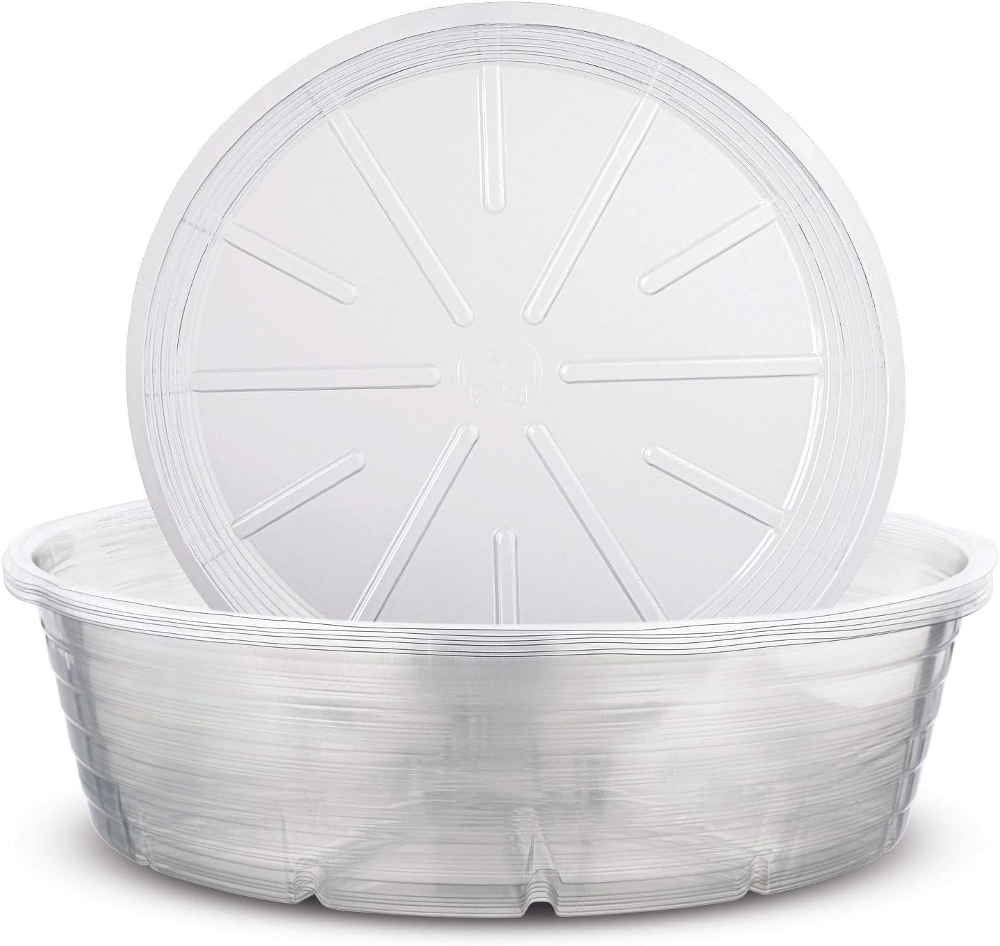 Amazon.com : MT Products Plant Saucers for Indoors - 14 Inch ...
