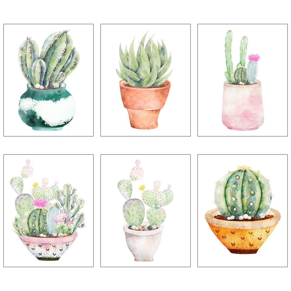 Watercolors Cacti And Succulents Cactus Painting. Succulent Watercolor