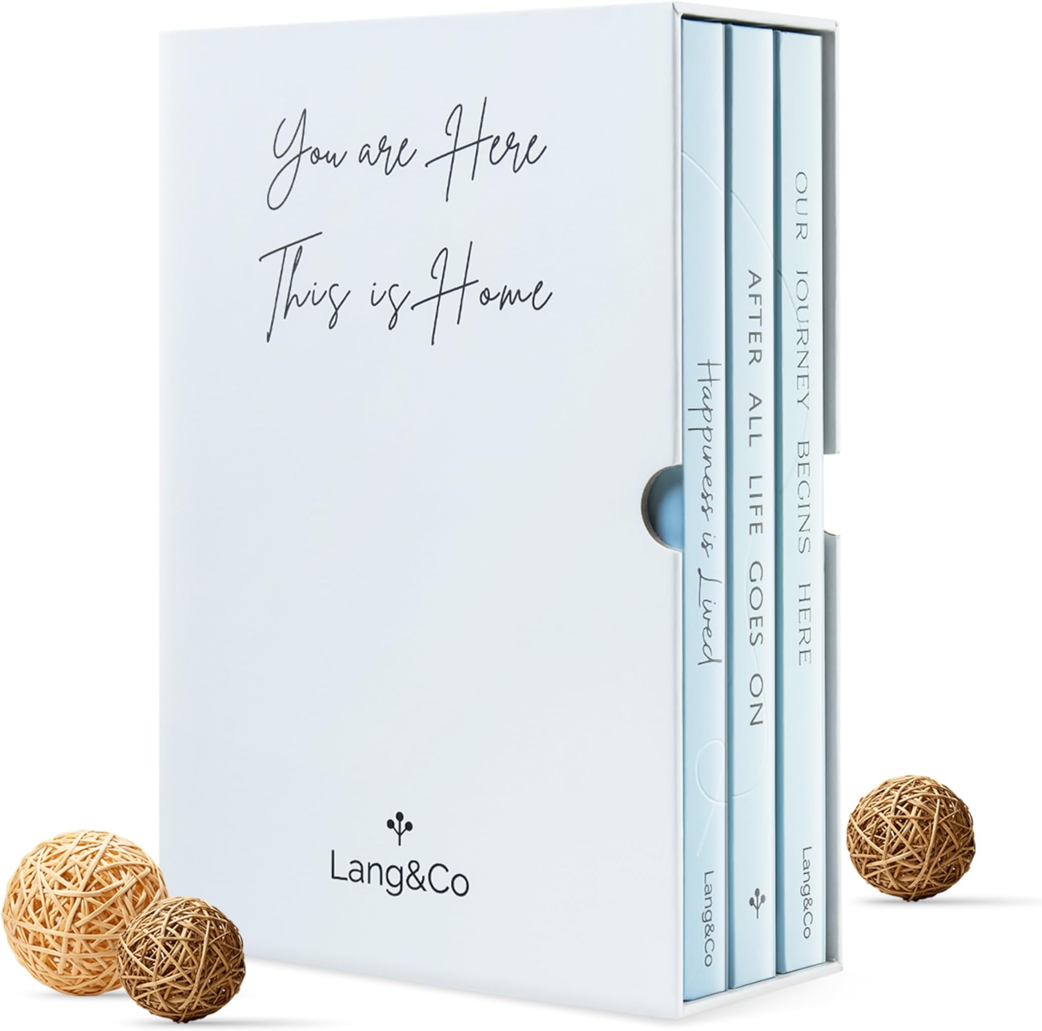Amazon.com: Lang&Co Decorative Book Set of 3 Real Books in Slipcase - 9 ...