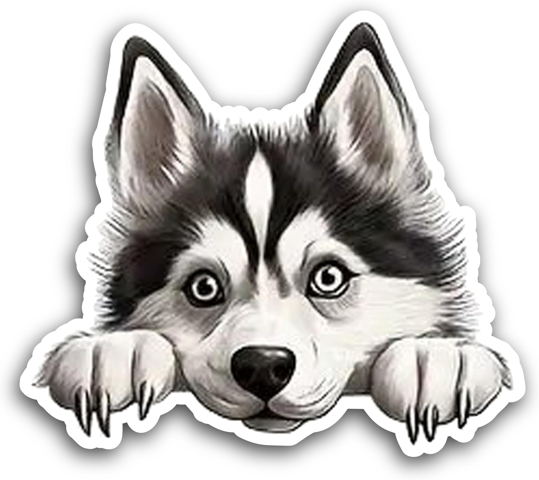 Amazon.com - 2 (Pieces) 3" and 5" Husky Dog Staring at me Decal Sticker ...