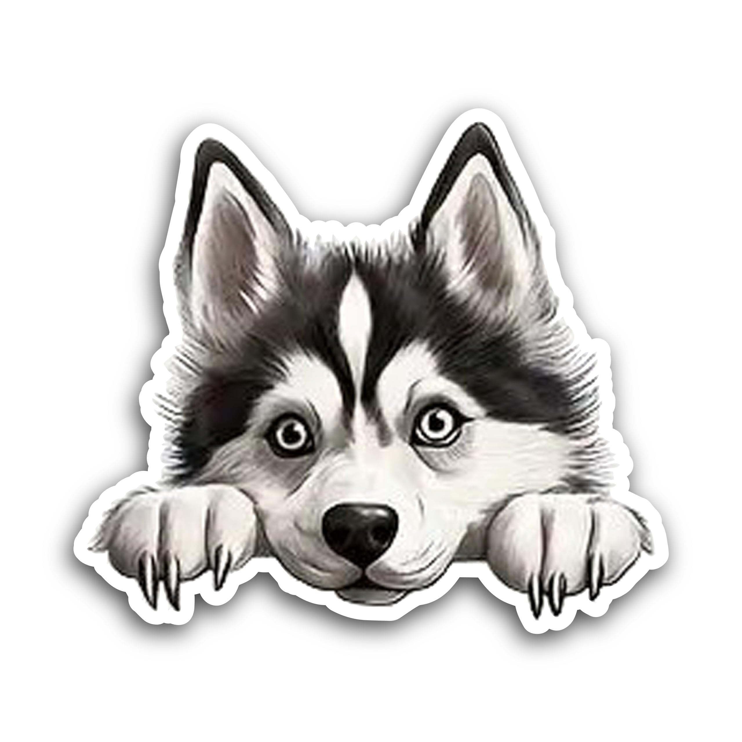 Amazon.com - 2 (Pieces) 3" and 5" Husky Dog Staring at me Decal Sticker ...