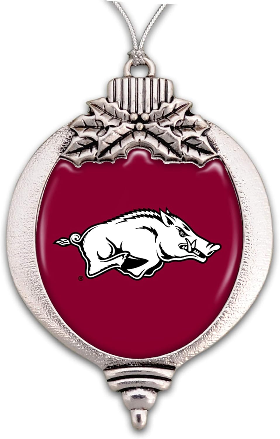 Amazon.com: Arkansas Razorbacks Bulb with Team Logo Silver Metal ...