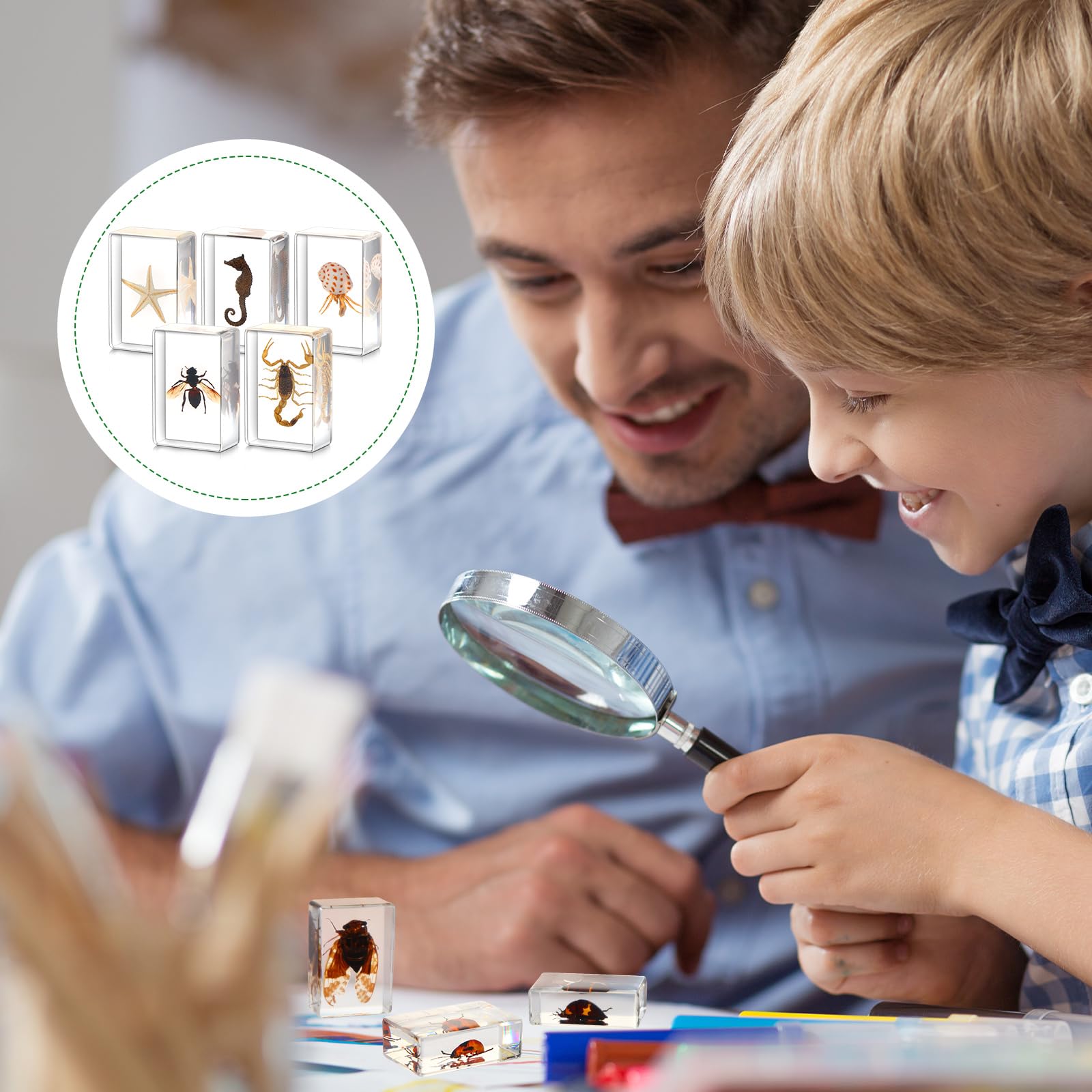 Snapklik.com : Weysat 50 Pcs Insect In Resin Bulk Specimen Bugs ...