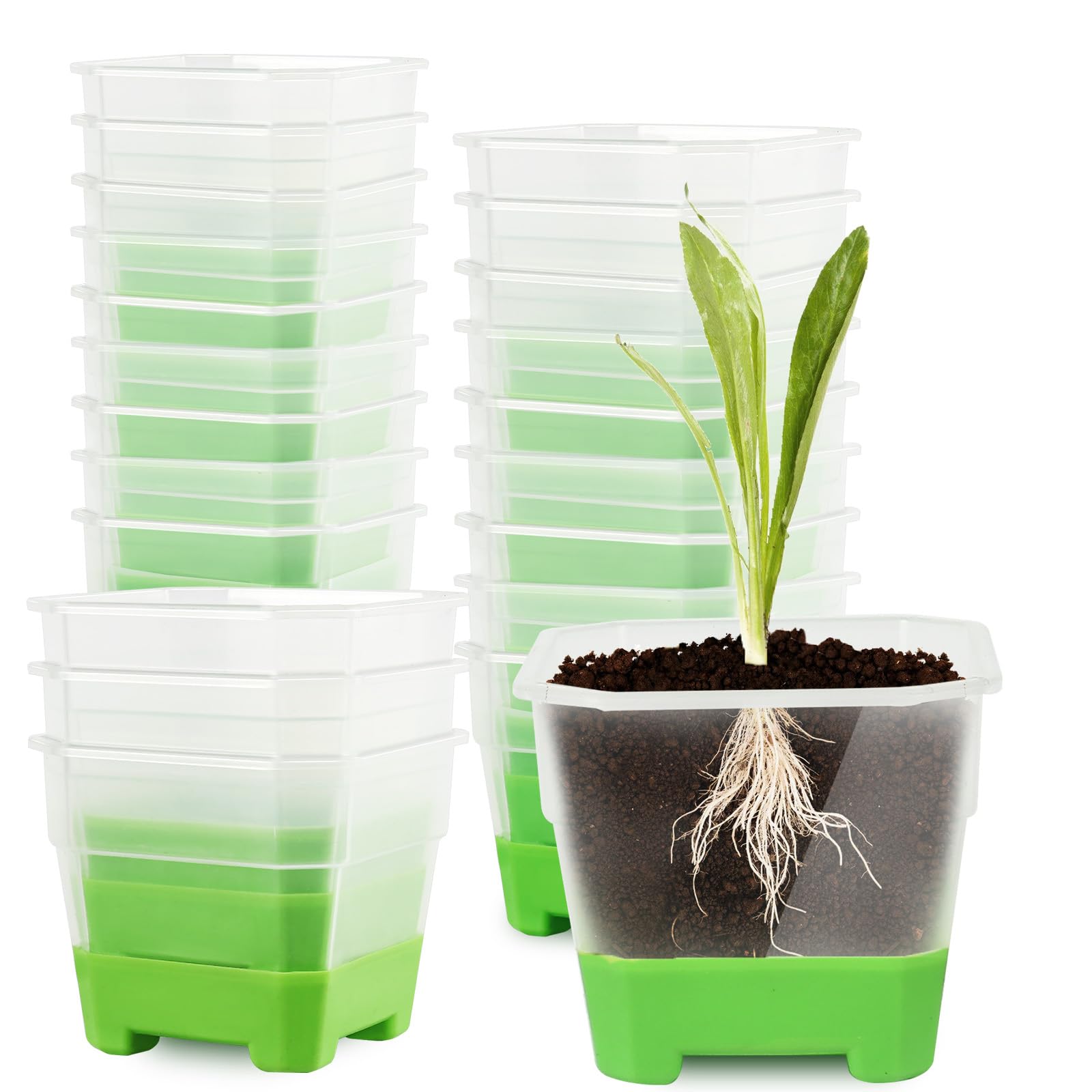 Amazon.com: GBPLAIN Clear Nursery Pots with Silicone Base and Drainage ...