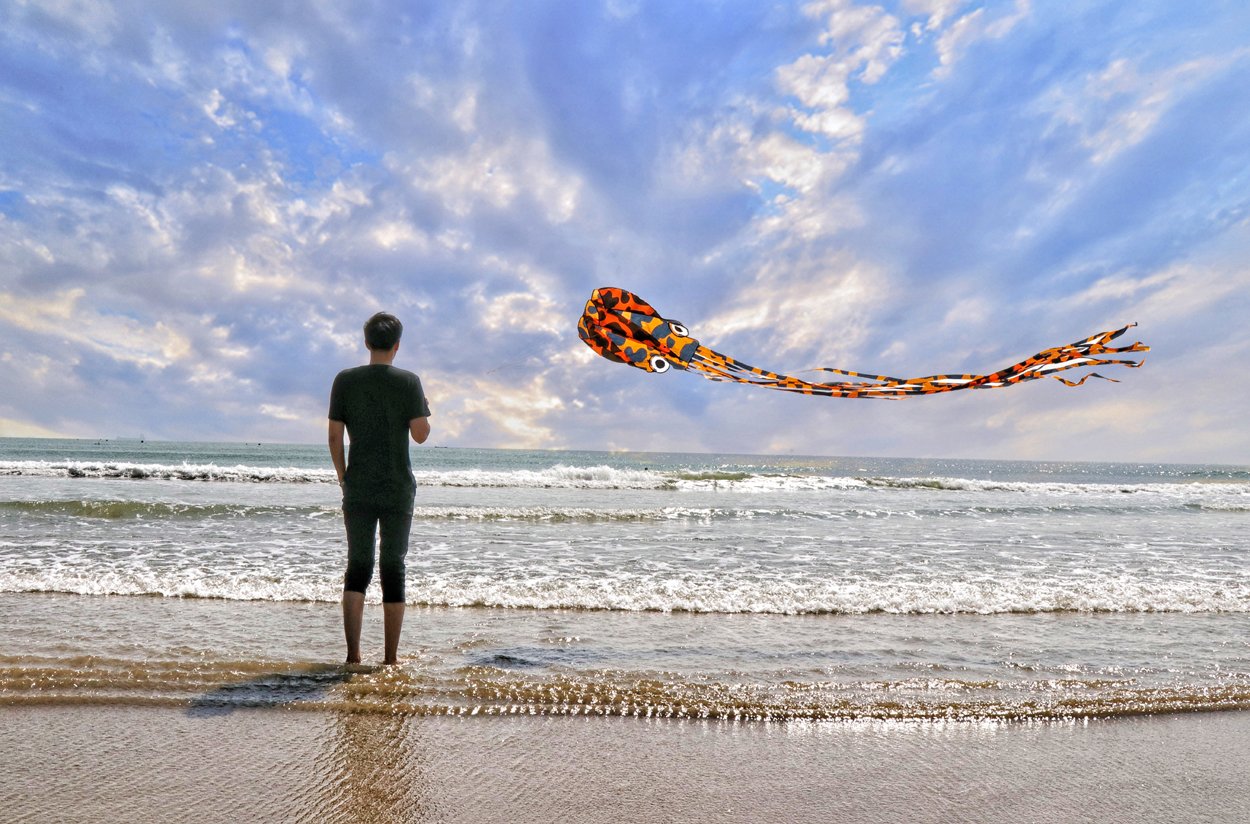 Snapklik.com : Kizh Kite Octopus Large Frameless Soft Parafoil Kites ...
