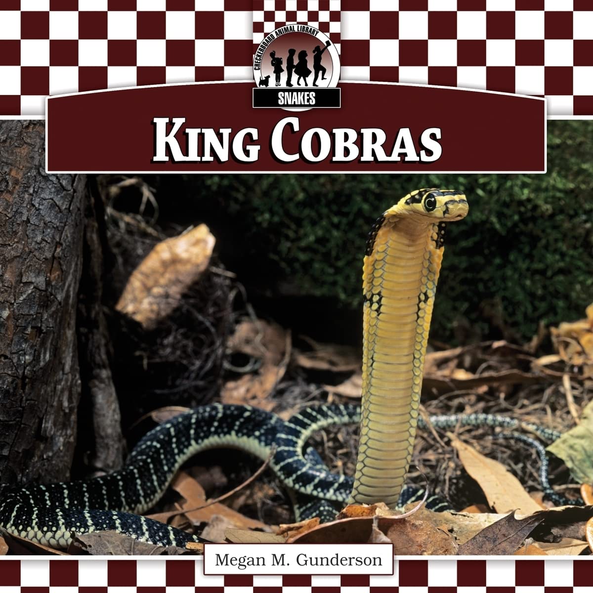 Amazon | King Cobras (Snakes) | Gunderson, Megan M. | Rabbits