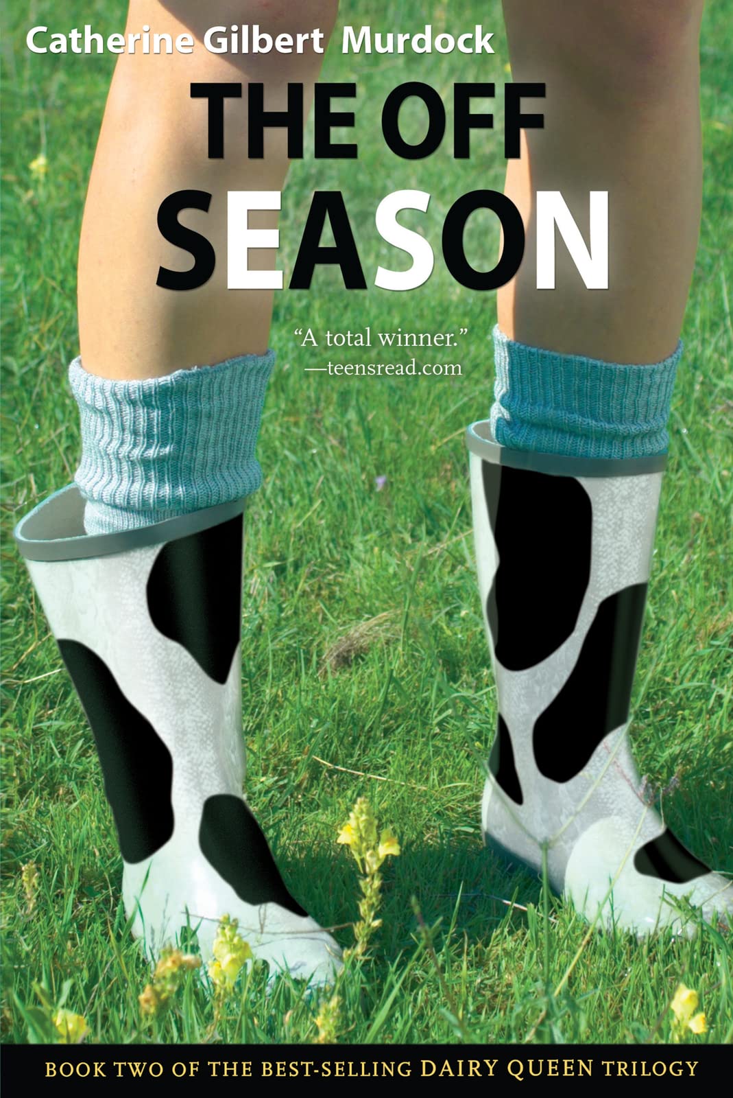 Amazon.com: The Off Season: 9780618934935: Murdock, Catherine Gilbert ...