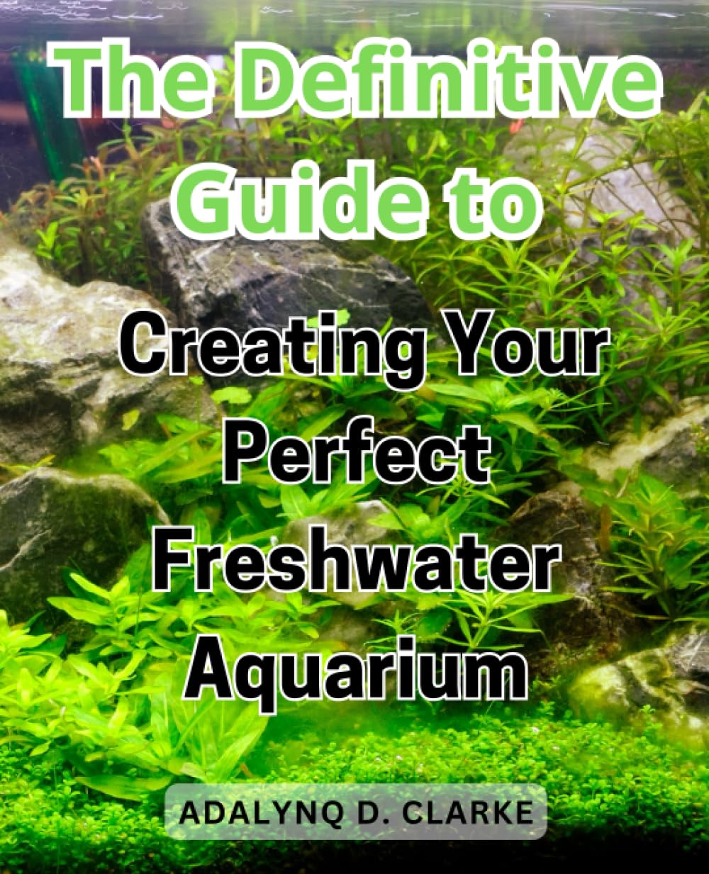 The Definitive Guide to Creating Your Perfect Freshwater Aquarium ...