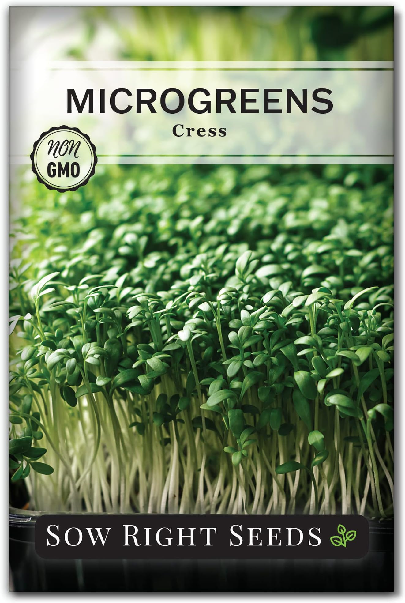 Amazon.com : Cress Seed, Microgreen, Sprouting, 2 OZ, Seeds, Non GMO ...