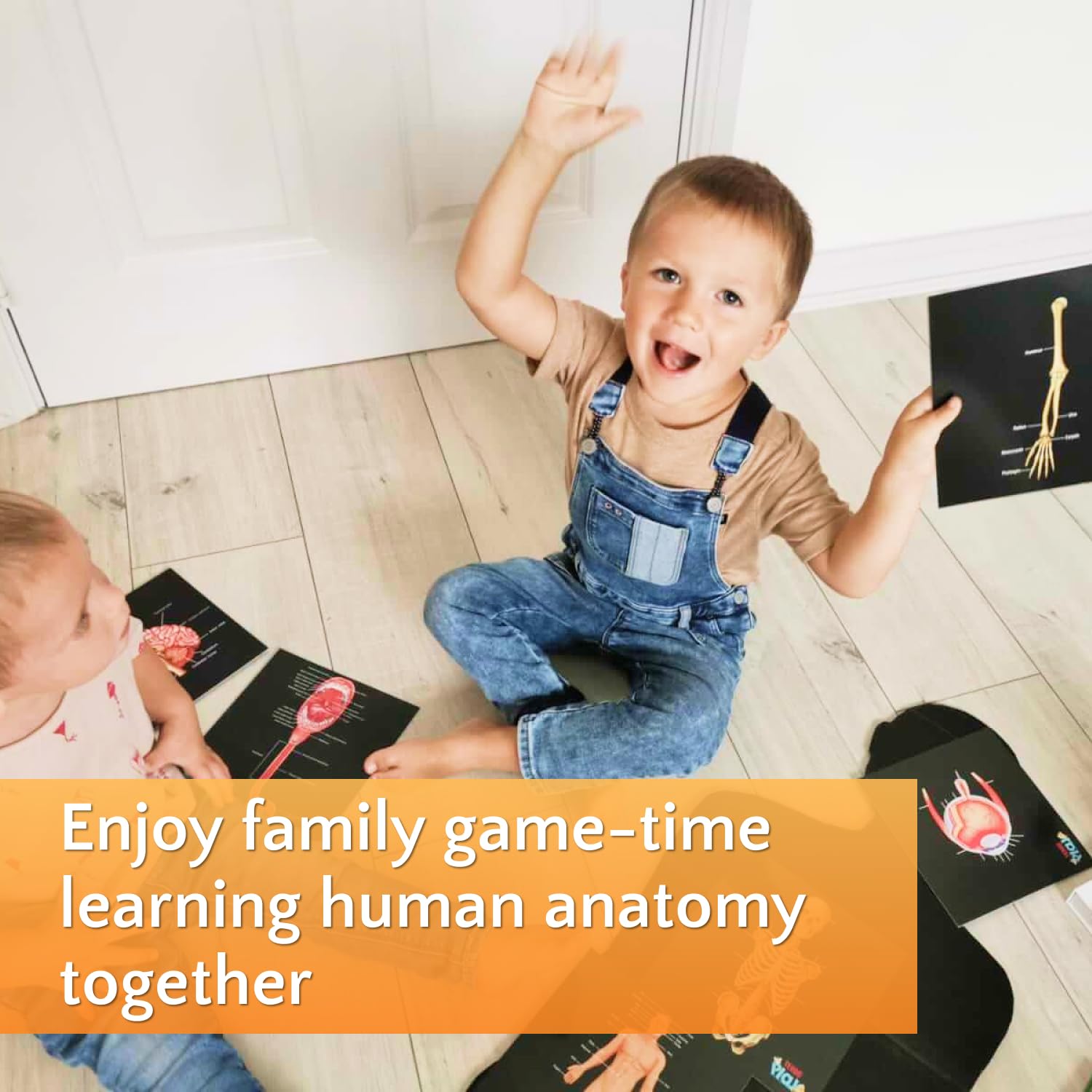 Snapklik.com : Complete Human Anatomy Biology Learning Set For Kids ...