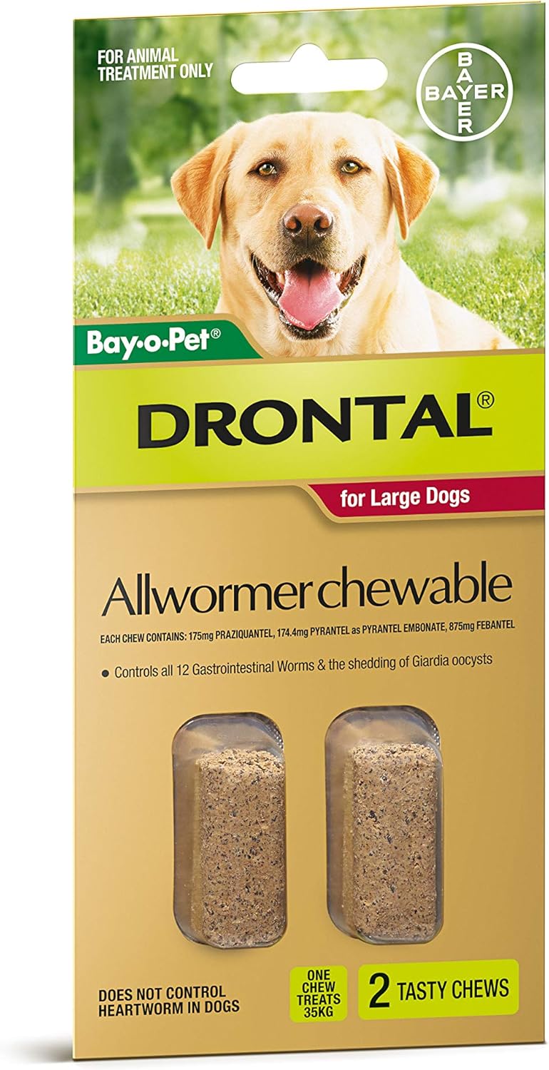 Drontal Allwormer Chews for Dogs 10-35kg, 2 Pack, 2 chews : Amazon.com ...